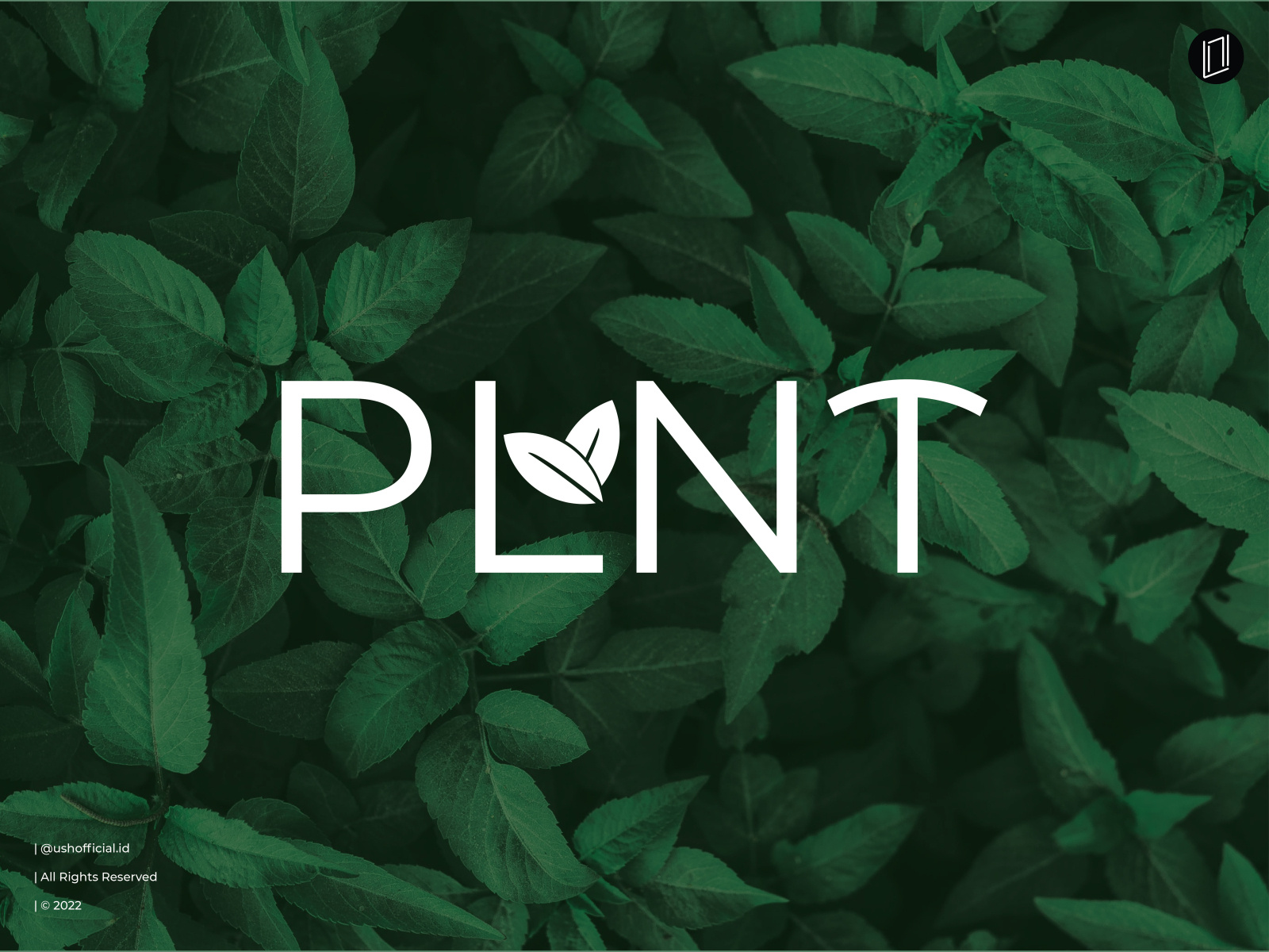 PLNT by Ihsan muhammad on Dribbble