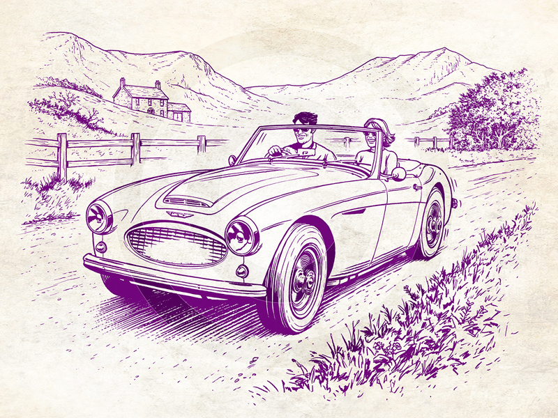 Austin Healey by Tom Connell on Dribbble