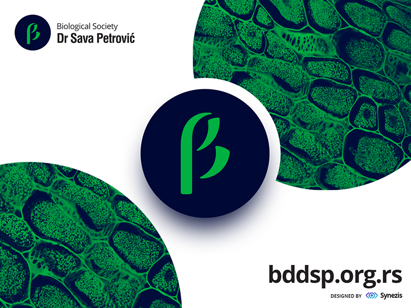 BDDSP 🌿 | Promo banner by Đorđe Vukojević on Dribbble