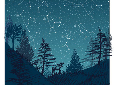 Constellations Poster by Sophia Saunders on Dribbble