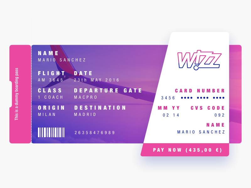 Wizz Ticket Concept by Lopznyko on Dribbble