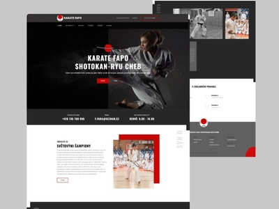 Karate Website Design by Anas Shah on Dribbble