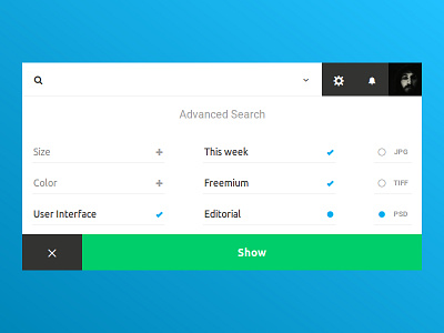 Day 082 - Advanced Search by Cristhofer Andana Alcaino on Dribbble
