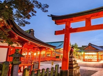 Tokyo Vacation Packages by Divas Trave 4 Fun on Dribbble