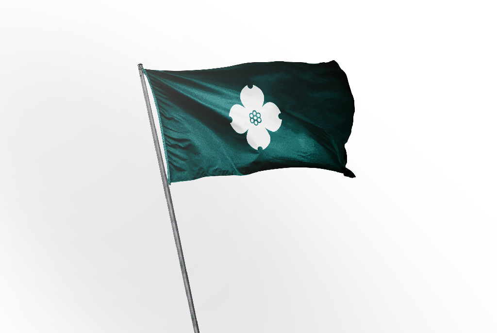 Charlottesville City Flag by Jeremy D. Cherry on Dribbble