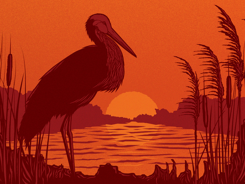 setting sun by Nathan Roberts on Dribbble