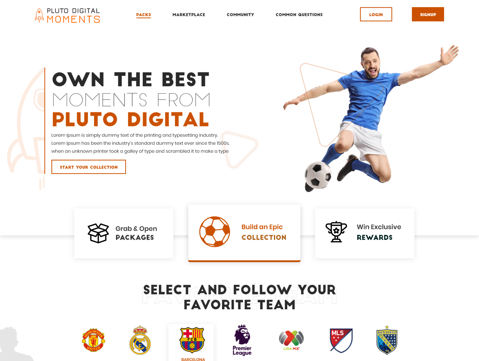 Pluto Digital by Sunil Kumar on Dribbble
