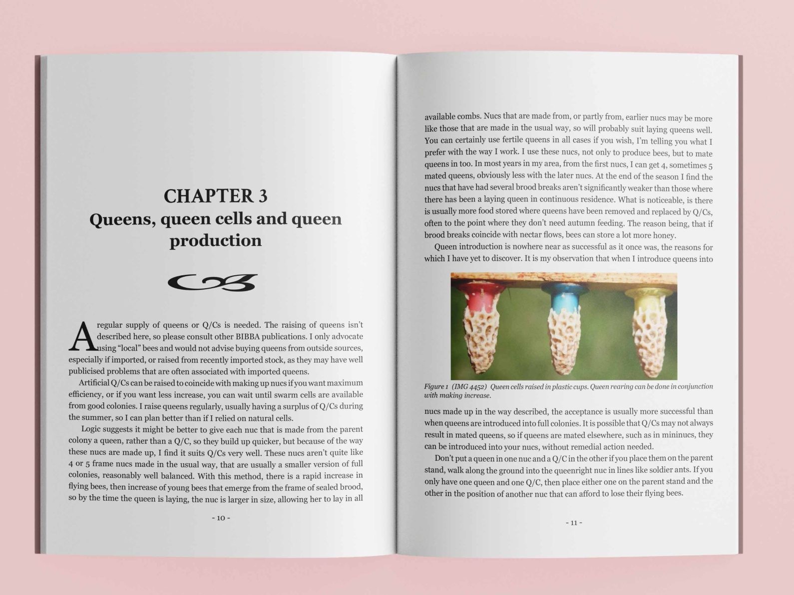 Chapter Book Layout Design Inspiration