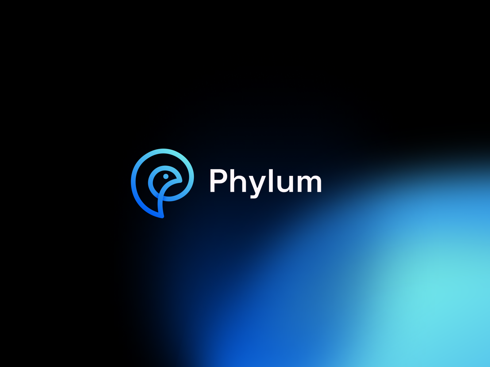 Phylum by Sava Stoic on Dribbble