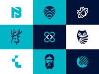 Code Camp by Sava Stoic on Dribbble