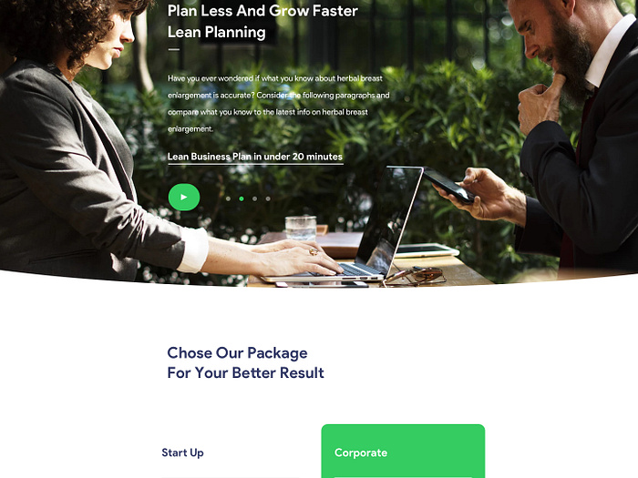 Bizz - Landing page design for business solution by Rohan Rahian on ...