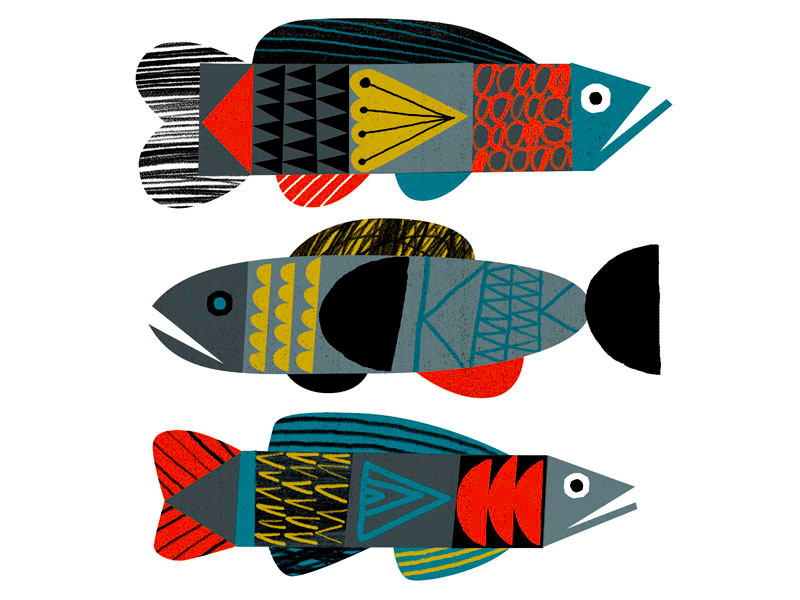 Fish by Dante Terzigni Jr. on Dribbble