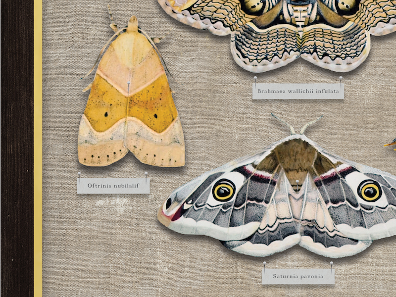 2017 WHS Art Show Poster by Russ Bratcher on Dribbble