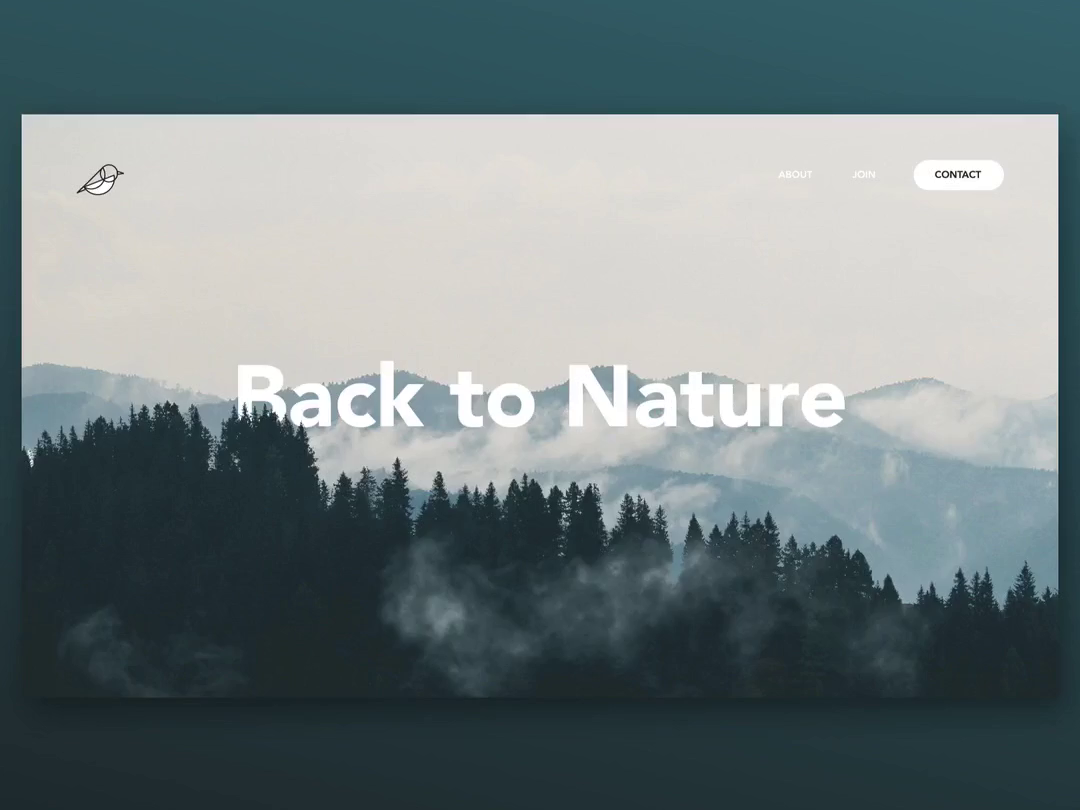 Nature Website Concept by Veronica Gabrielle on Dribbble