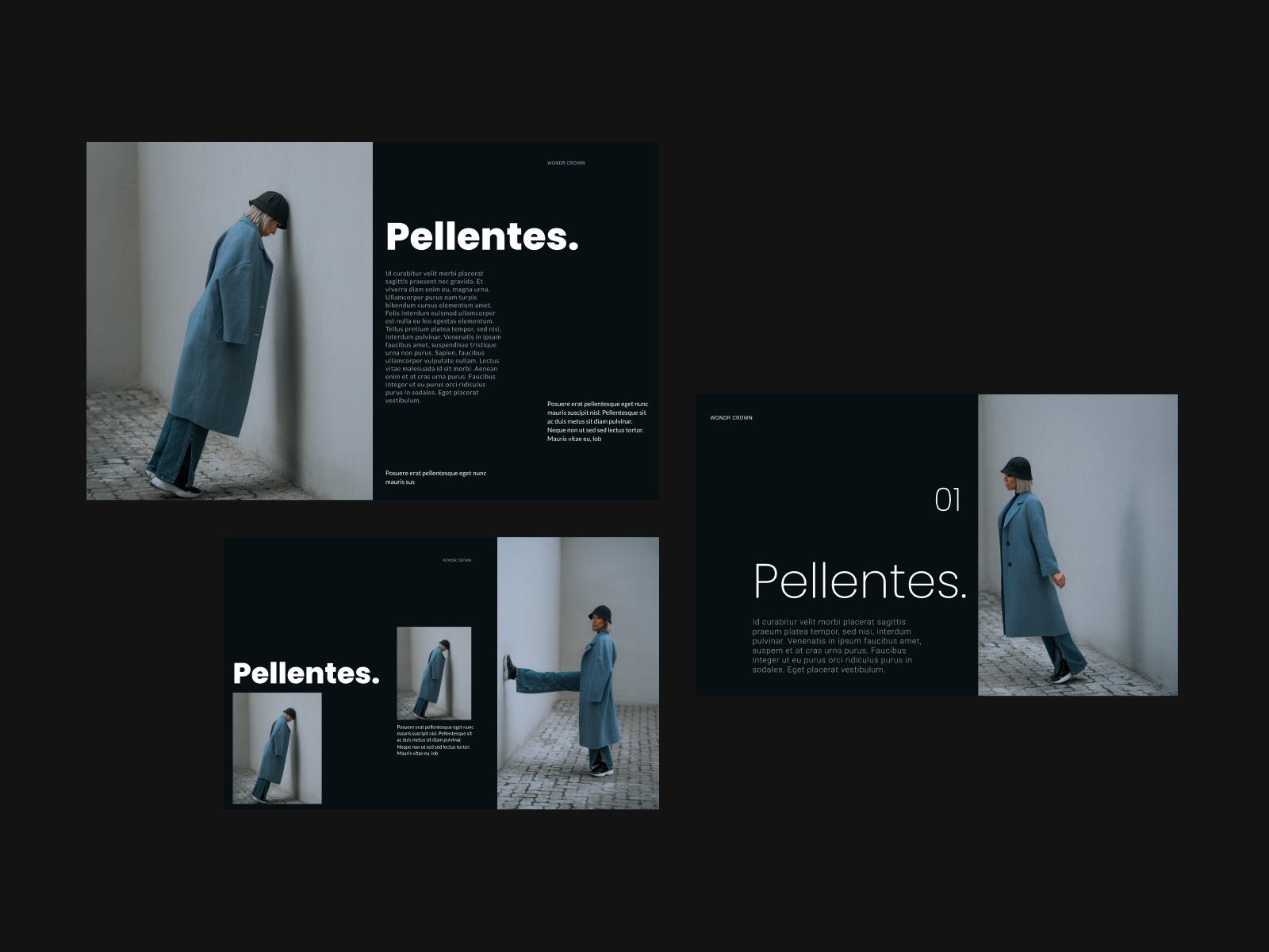 Typography, layouts exploration by wondr on Dribbble