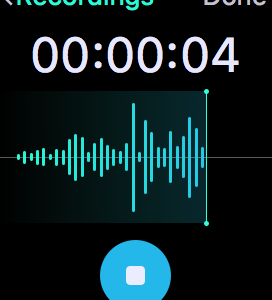 Voice Recorder UI for iOS by Marina Sheremet on Dribbble
