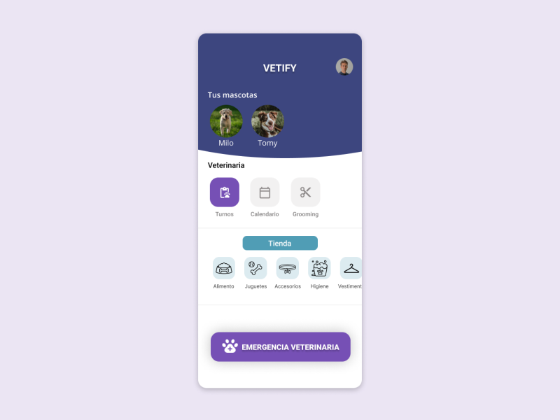 "Vetify" Vet Web App - prototype by Gaston Crapa on Dribbble