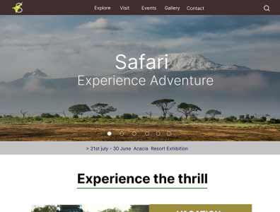 Safari Website Landing Page UI by Allahya Kwada on Dribbble
