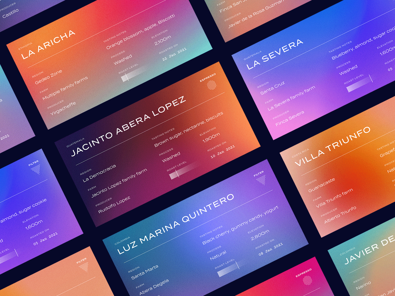Gradient Label Designs Themes Templates And Downloadable Graphic Elements On Dribbble 