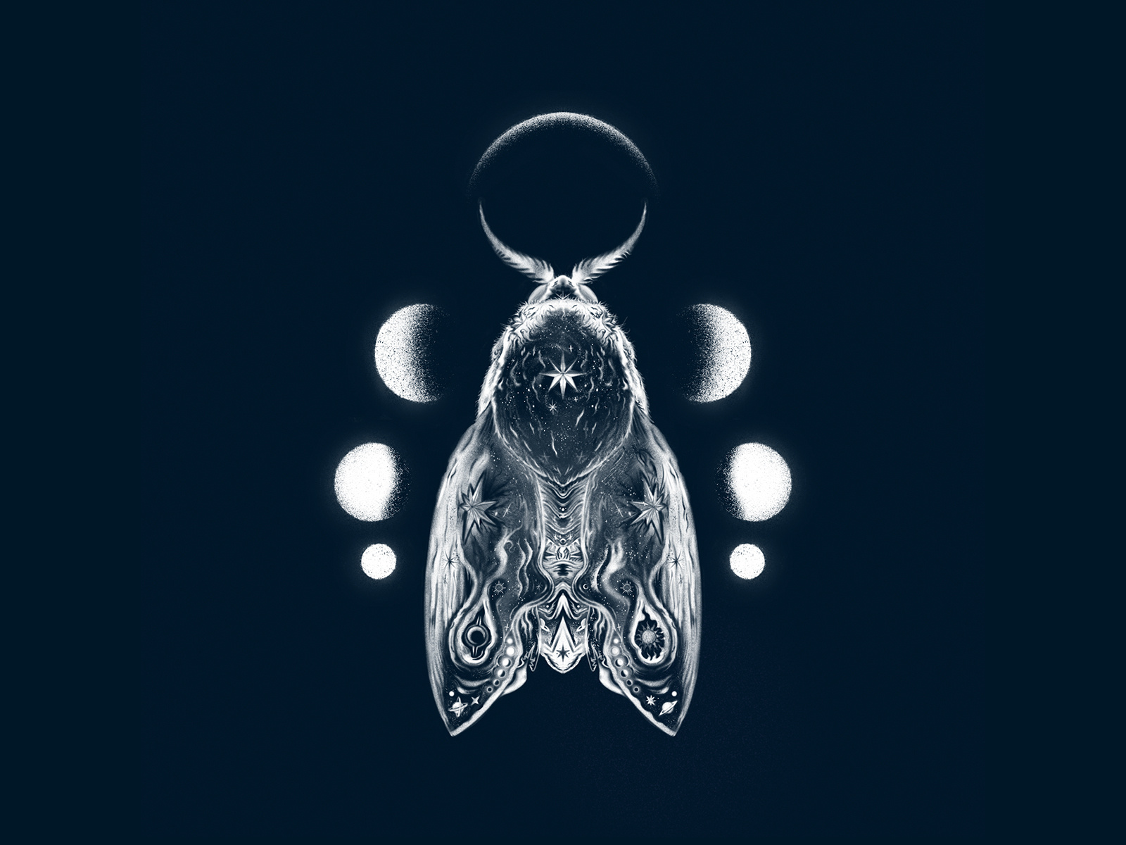 Celestial Mother Moth by Jeremy Holder on Dribbble