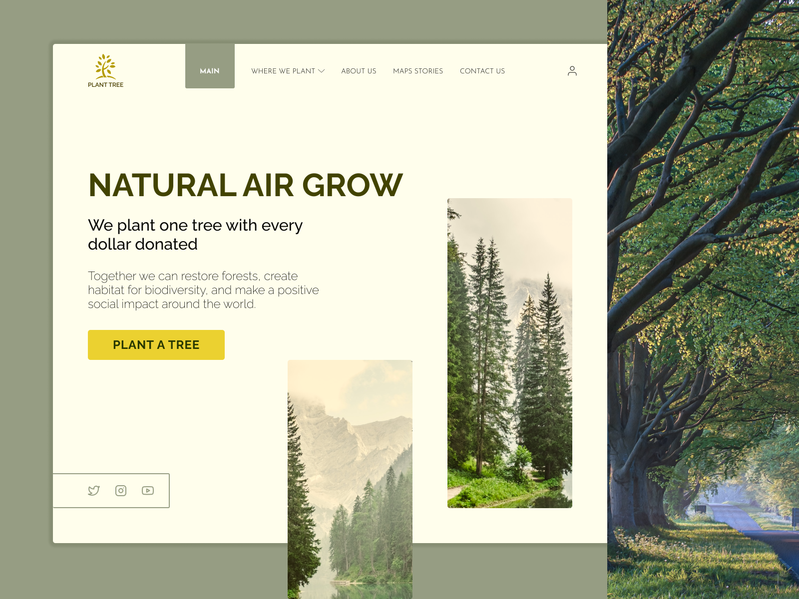 Save Natural. Plant a Tree by Katsiaryna on Dribbble