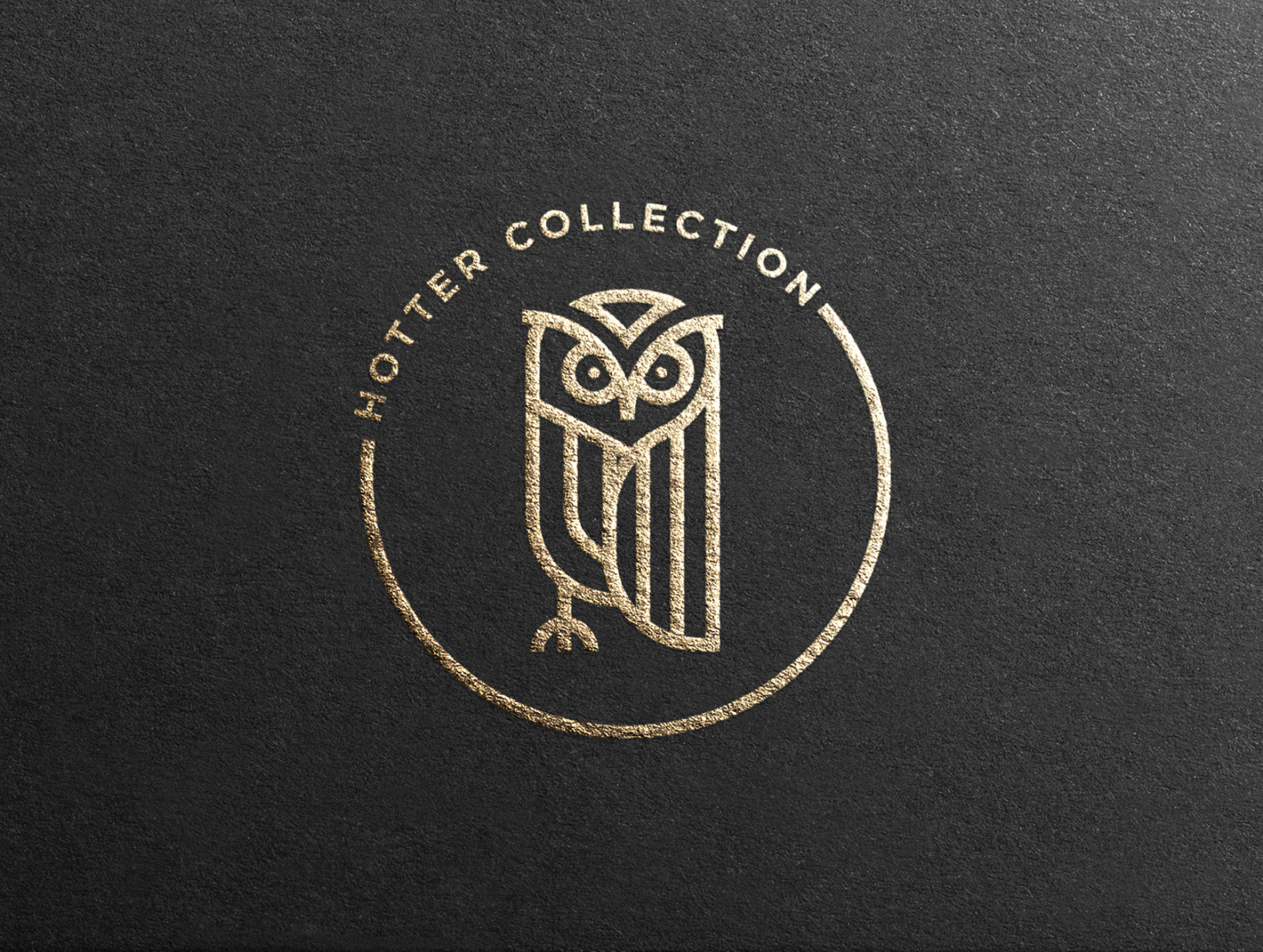 HOTTER COLLECTION by newlydesign on Dribbble