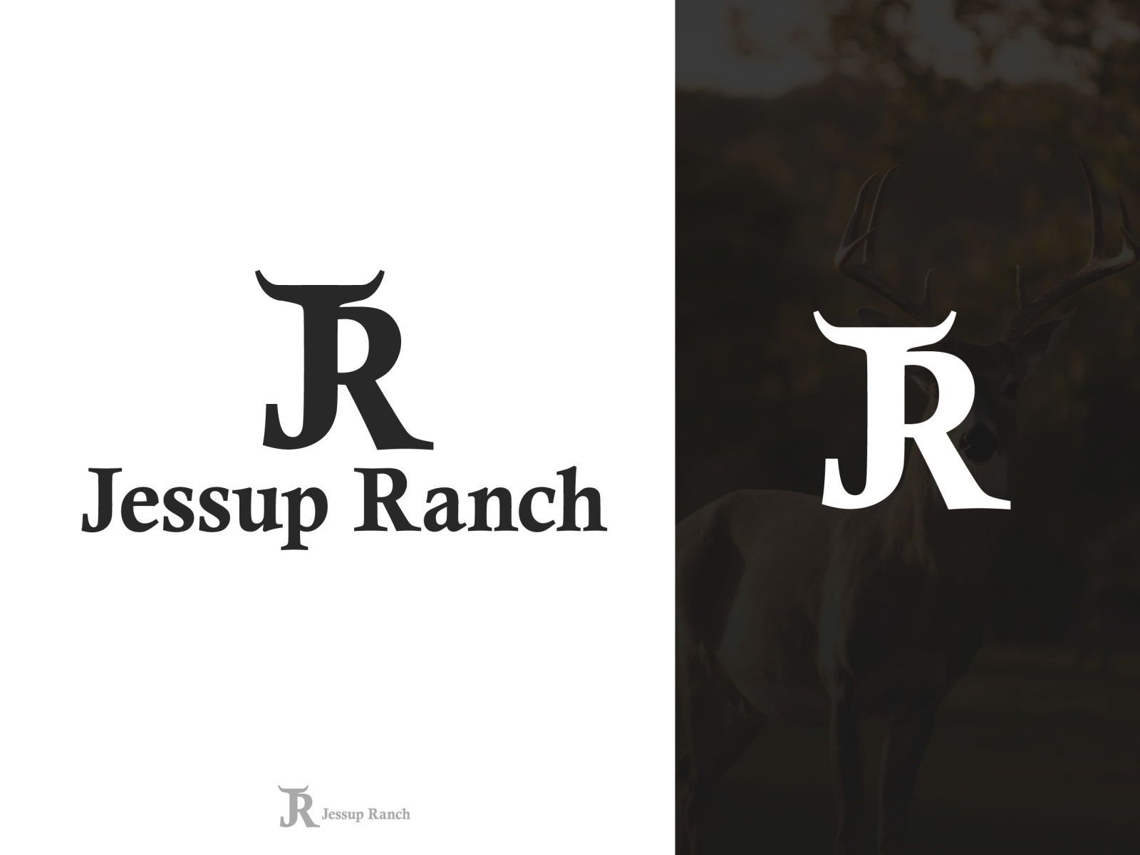 Creative Logo Design for Ranch by Bipul Saha on Dribbble