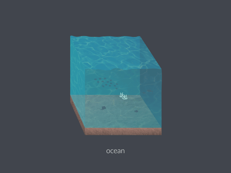 Process Of Sedimentation In Rock Formation