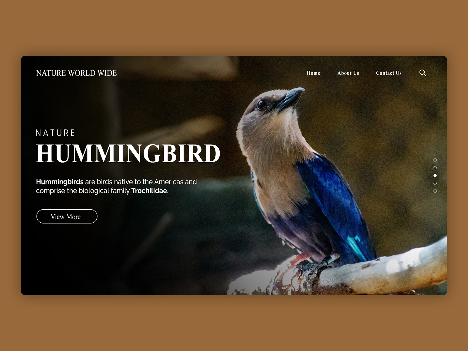 Momentous Graphic | Dribbble