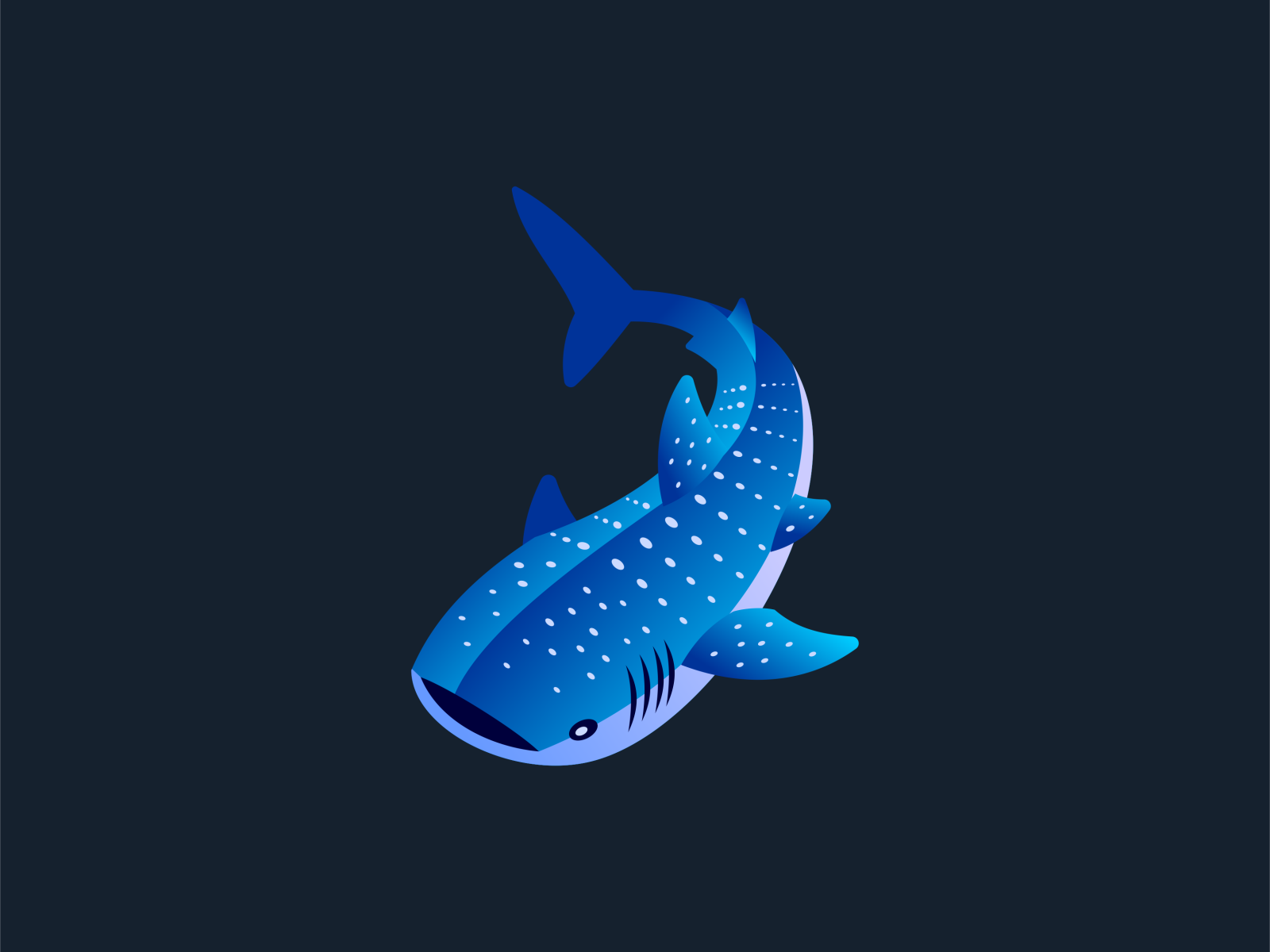 Whale Shark by Grafian on Dribbble