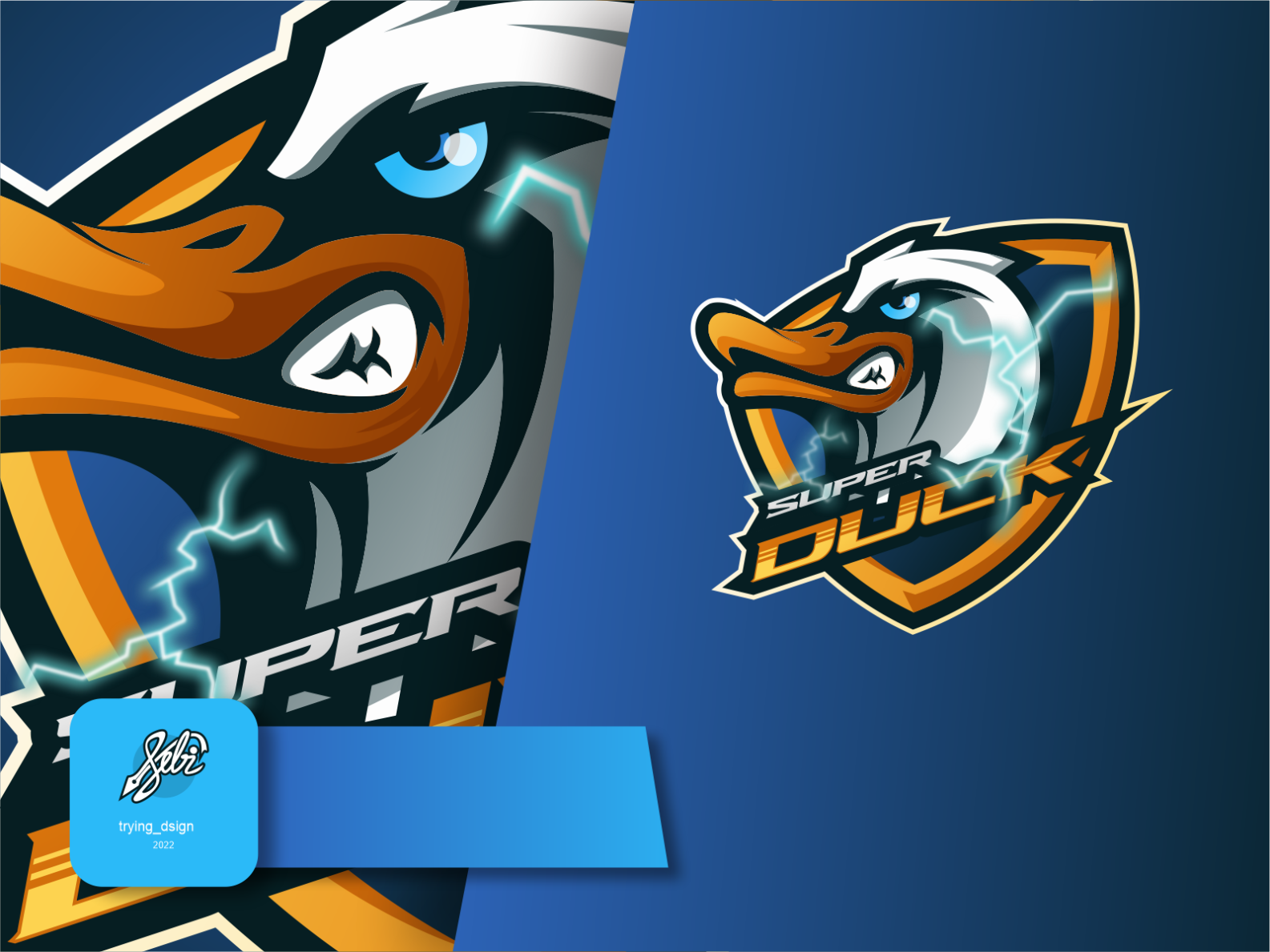 SUPER DUCK by creativooo_design on Dribbble