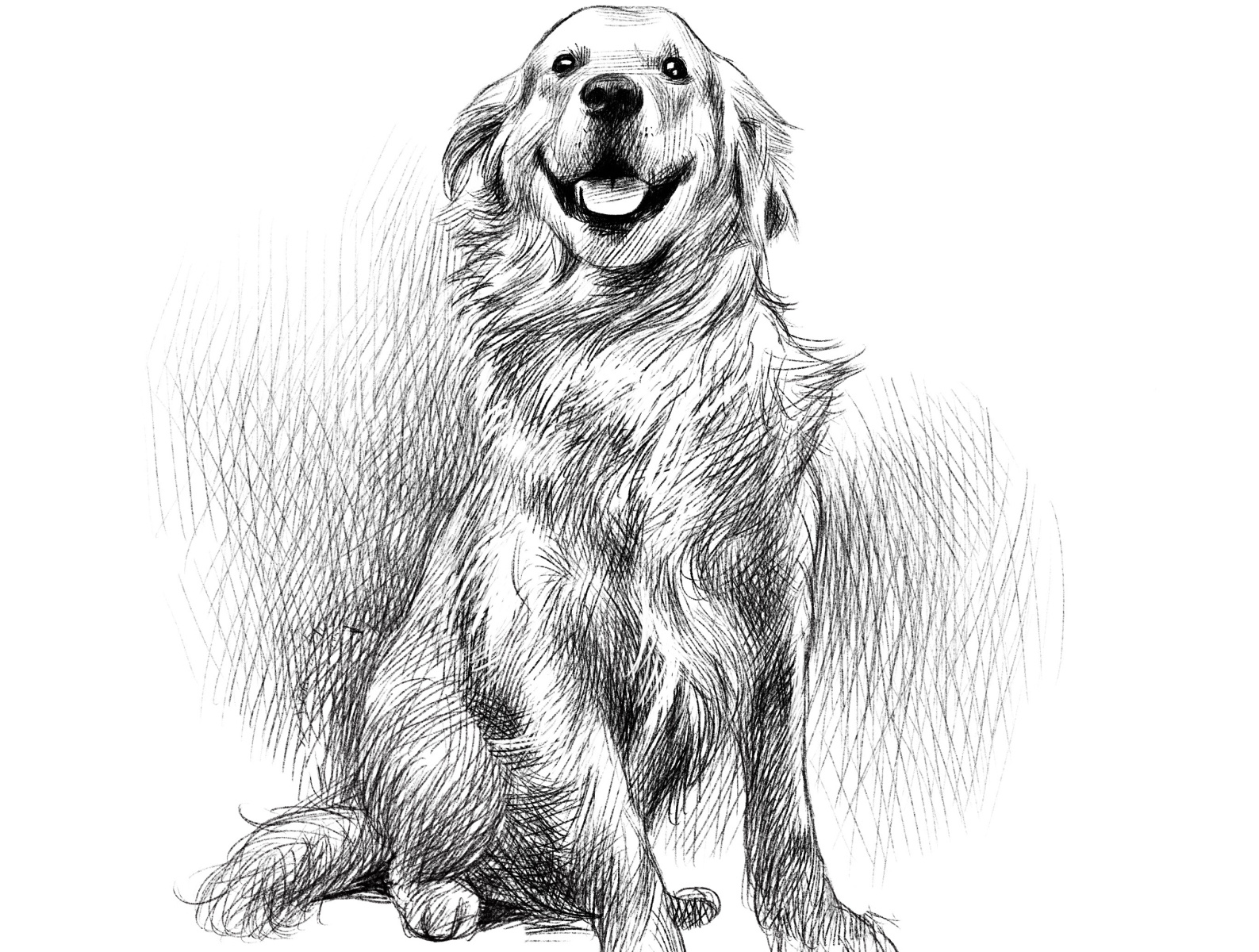 Cross hatching by Moinak Chakraborty on Dribbble