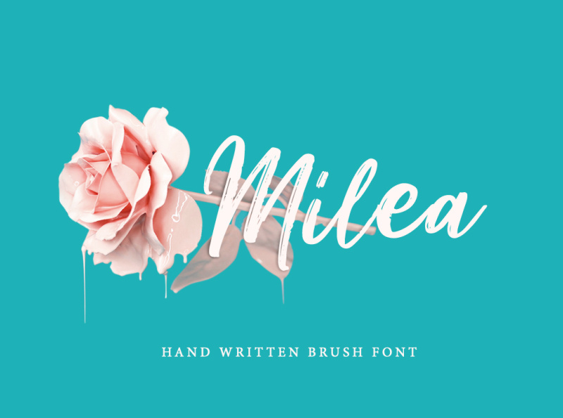 Milea - Handwritten Brush Font by Weape Studio on Dribbble