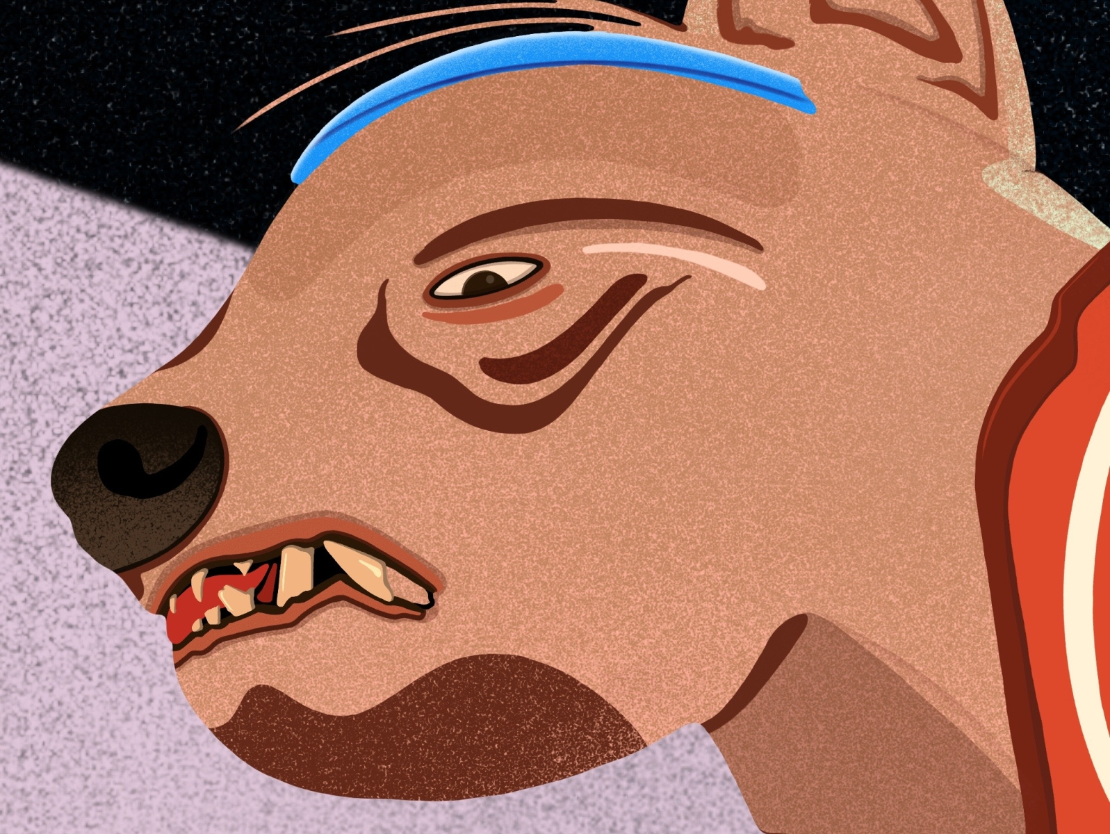 Allo by Jonathan.Cañamar on Dribbble