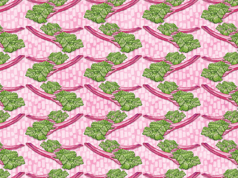 Rhubarb Food Pattern by Amanda Dilworth on Dribbble
