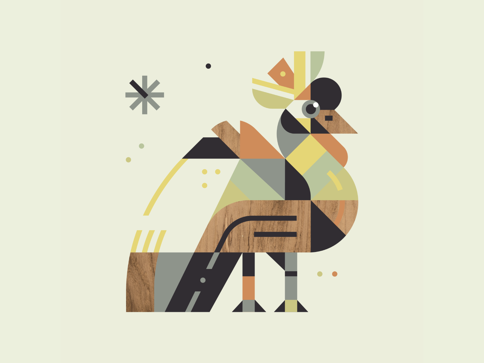 Triangle - Crowned Crane by Visual Jams on Dribbble