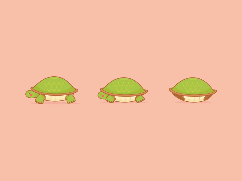 Shy turtle by Fe Sponchiado on Dribbble