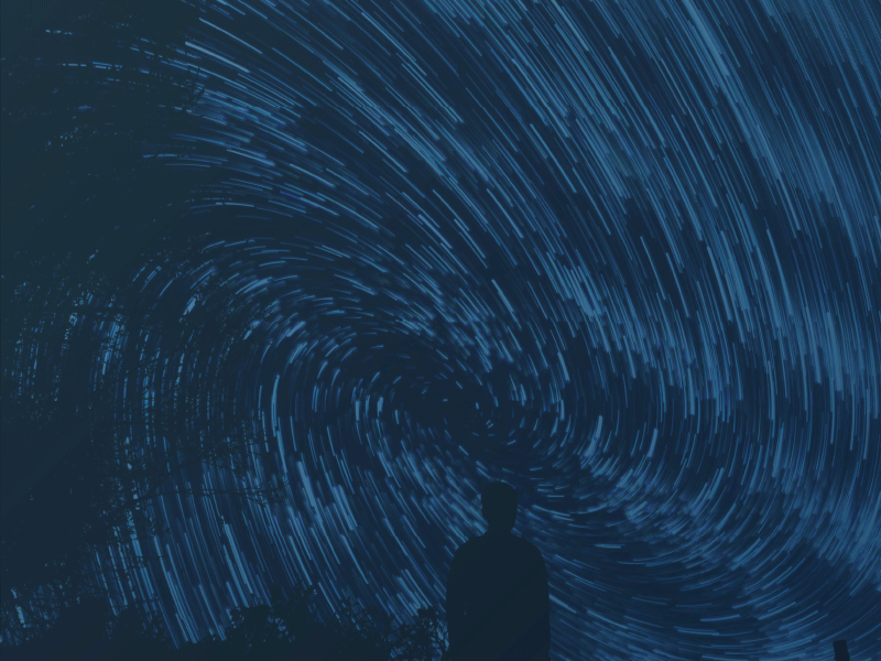 Cordian Logo Animation by Polina Sogolov on Dribbble