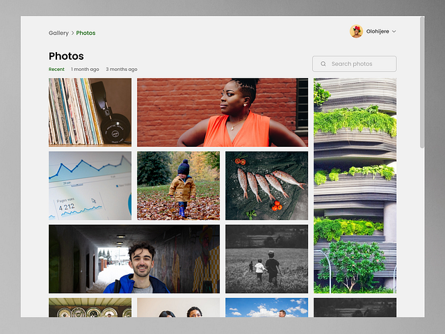 Image Gallery designs, themes, templates and downloadable graphic ...