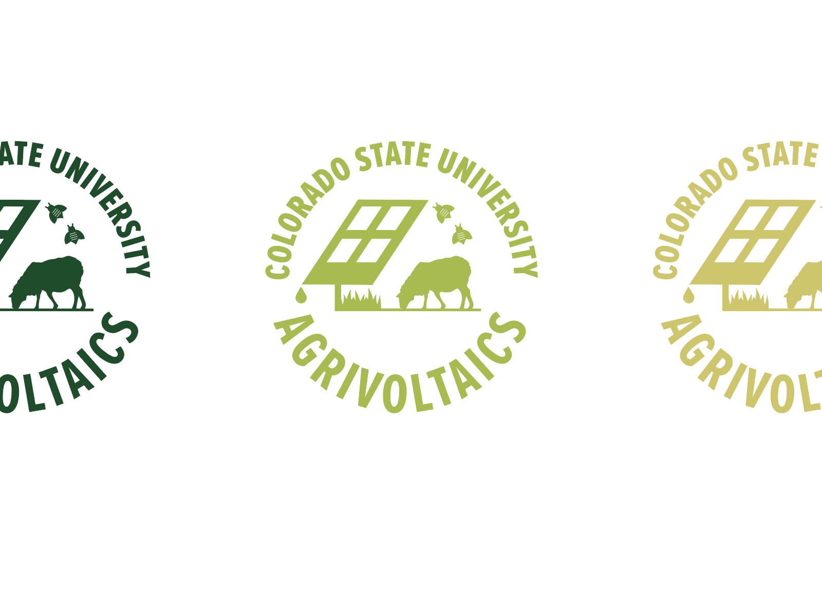 CSU Agrivoltaics by MargMorg Studio on Dribbble