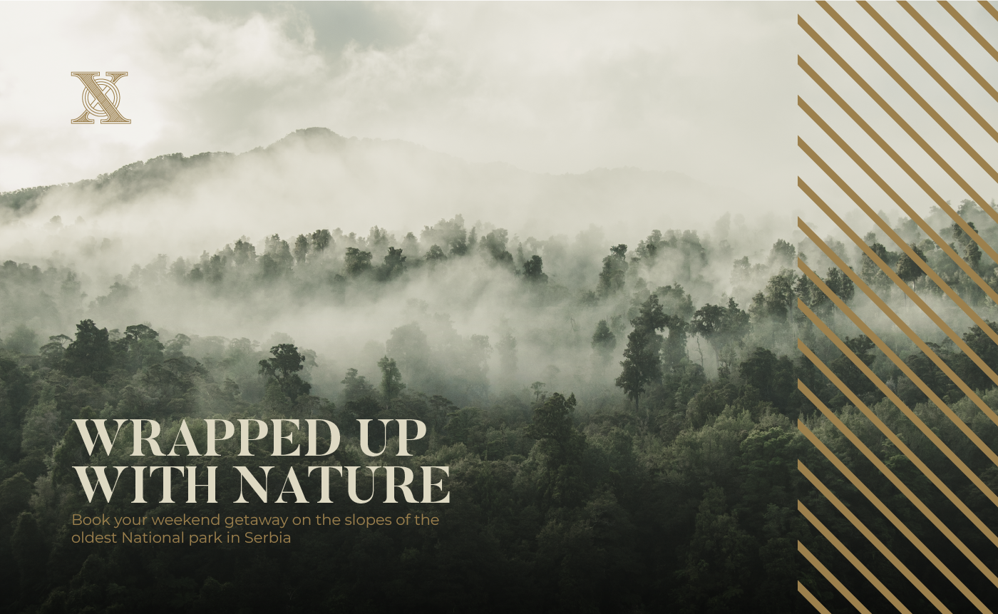 Hedonizam / Brand Identity by Nemanja Milikić on Dribbble