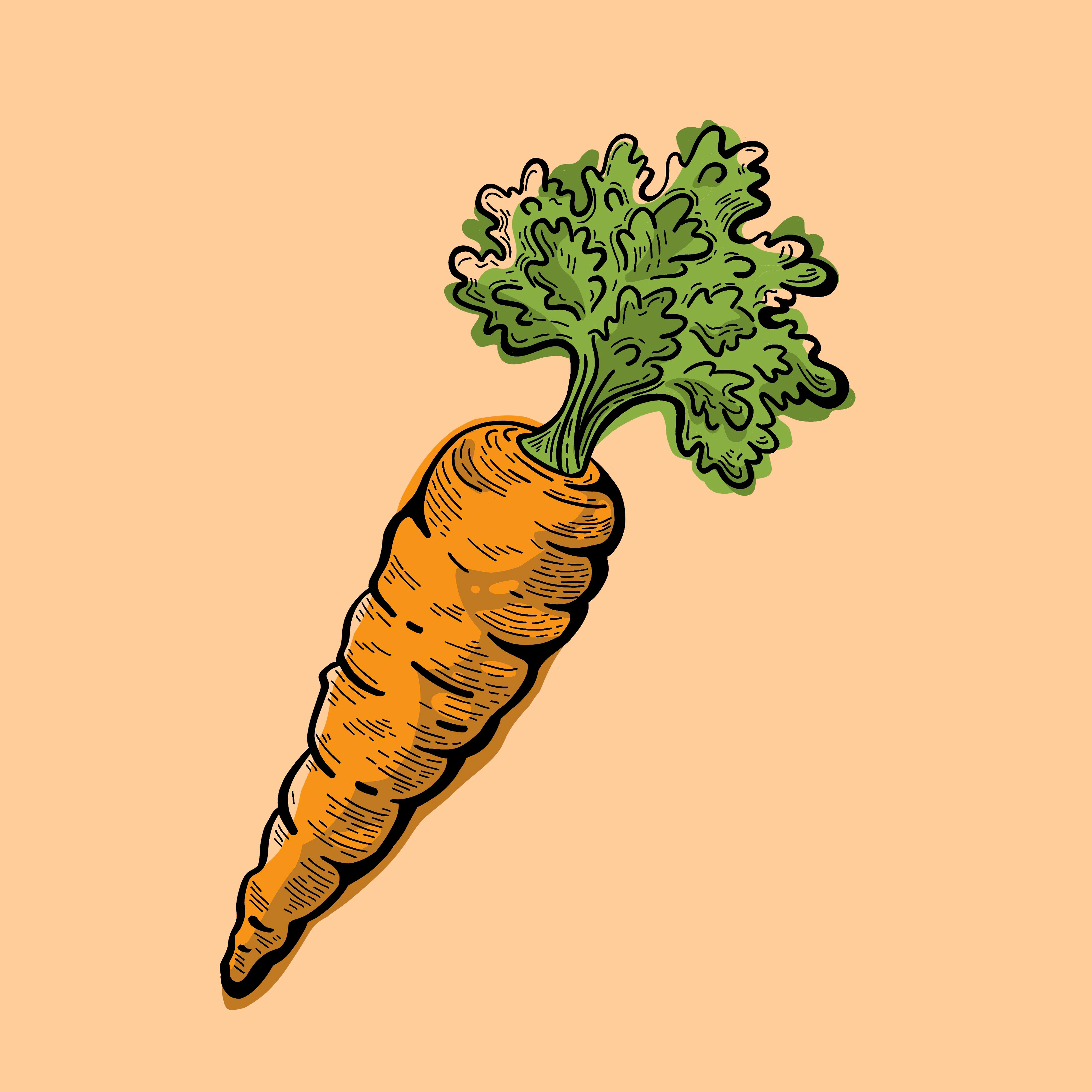 Branding, Illustration and Food Packaging for Spice Company by Jen Borror | Hoot Design Studio ...