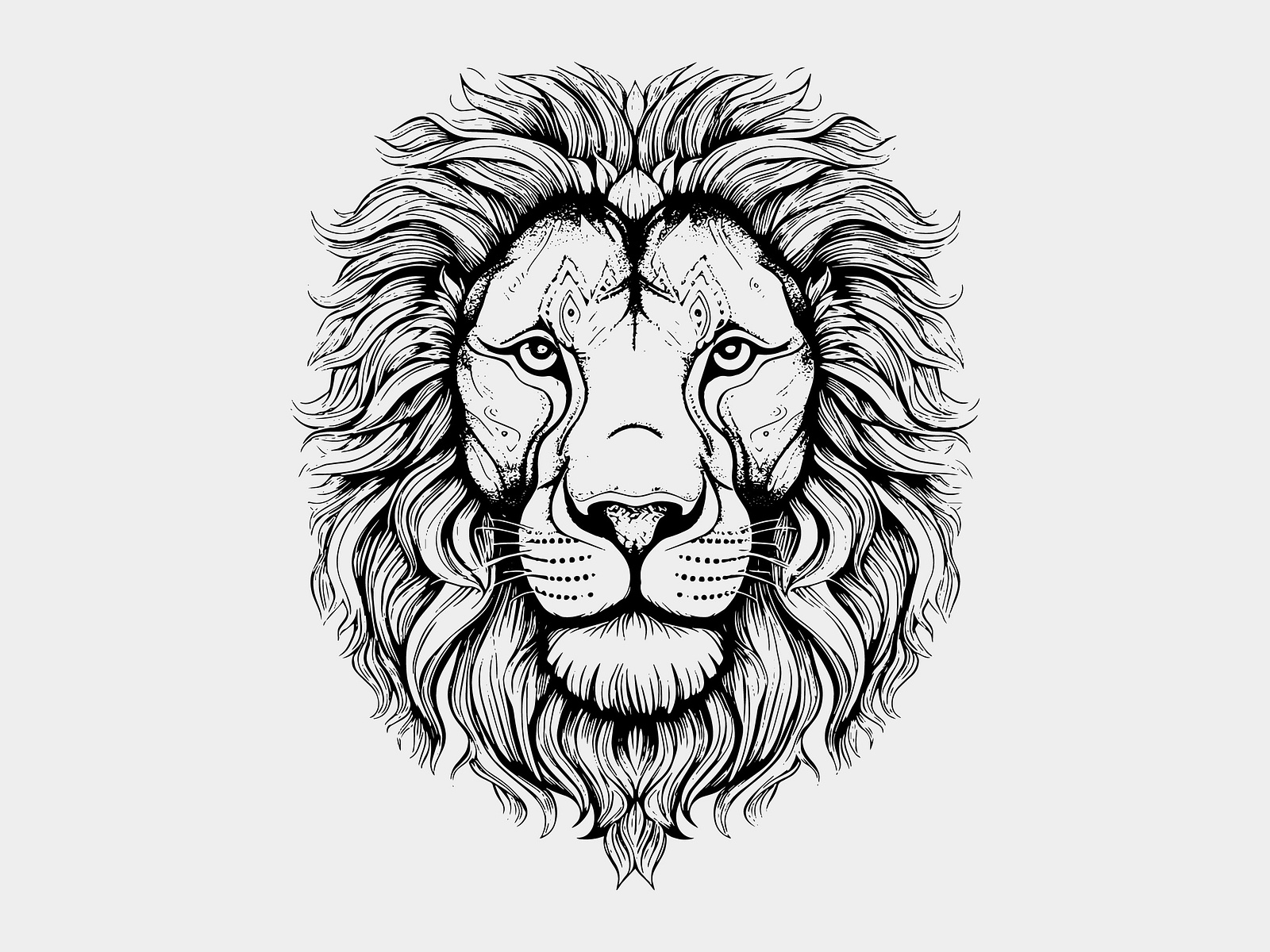 Lion vector artwork by Nayan Debnath on Dribbble