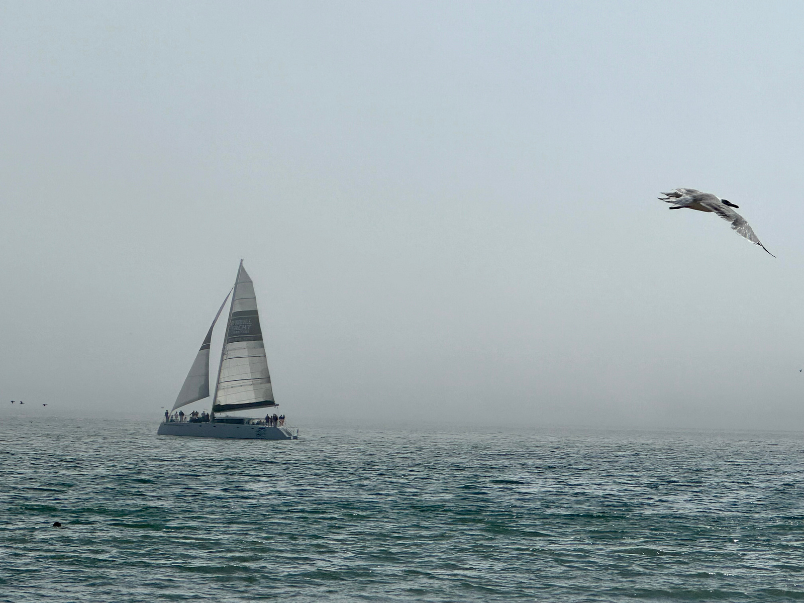 Sailing in the Haze by Kate Farrelly on Dribbble