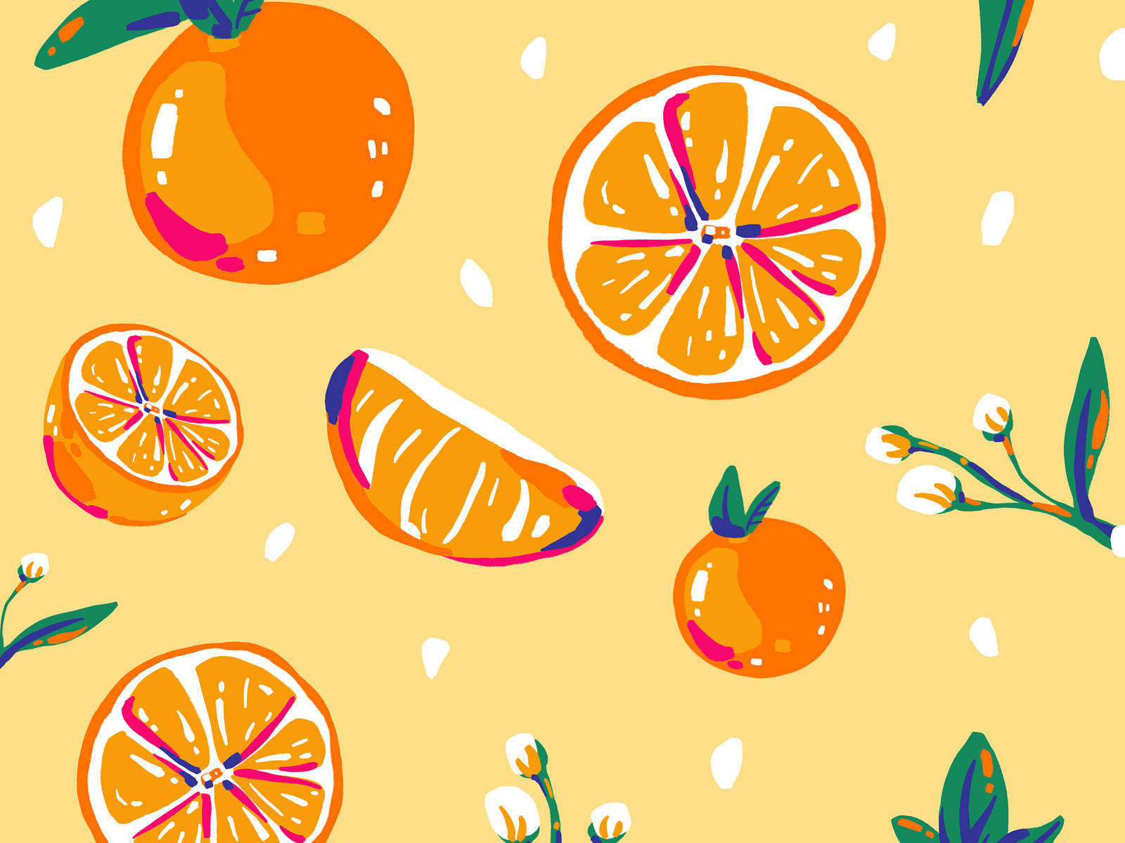Oranges By Indah Irawan On Dribbble