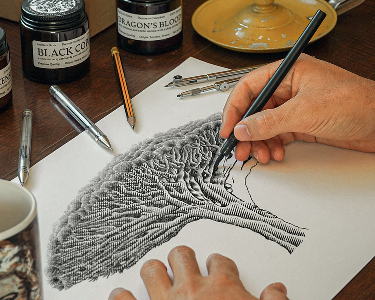 Engraving Illustration of a Dragon's Blood Tree by Gaspar Gomes Costa ...