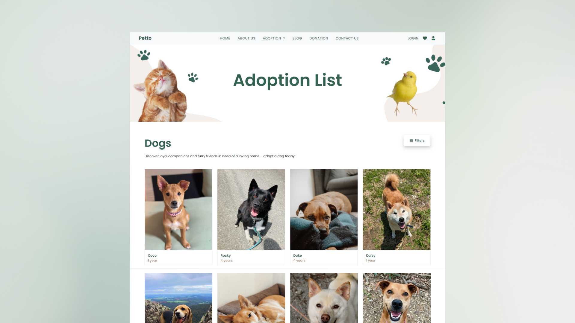 Petto - Pet Adoption Website by Nicole Chin on Dribbble