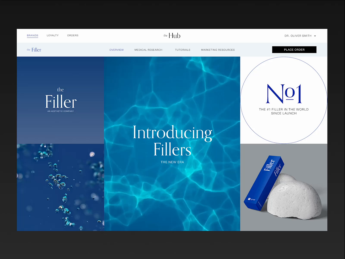 Web Portal designs, themes, templates and downloadable graphic elements ...