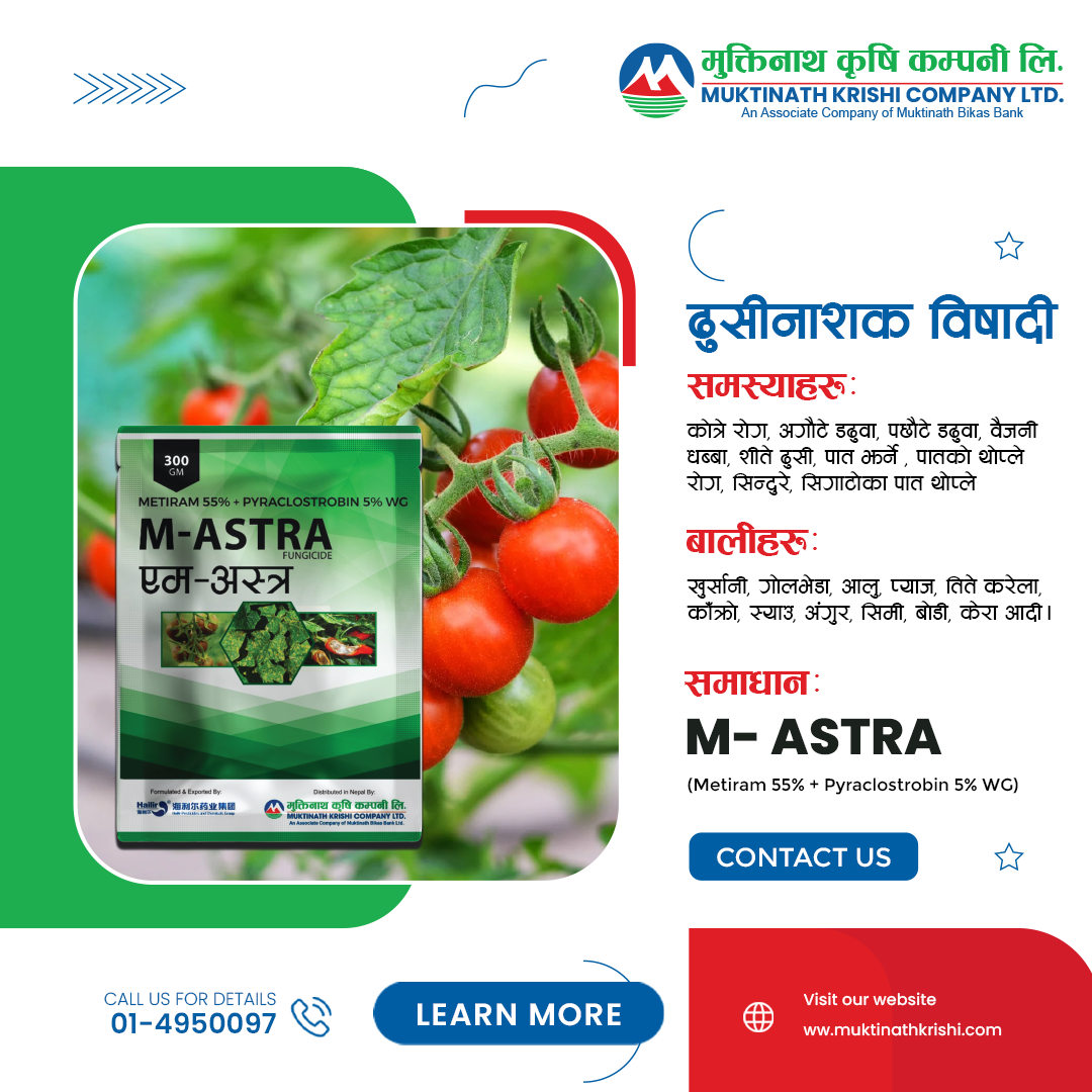 Facebook Post for Muktinath Krishi Company by Aakash Tamang on Dribbble