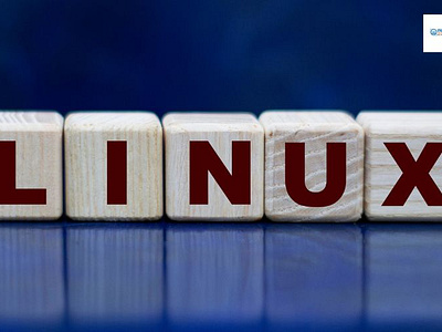 Linux VPS Company by INFOSKY SOLUTIONS on Dribbble